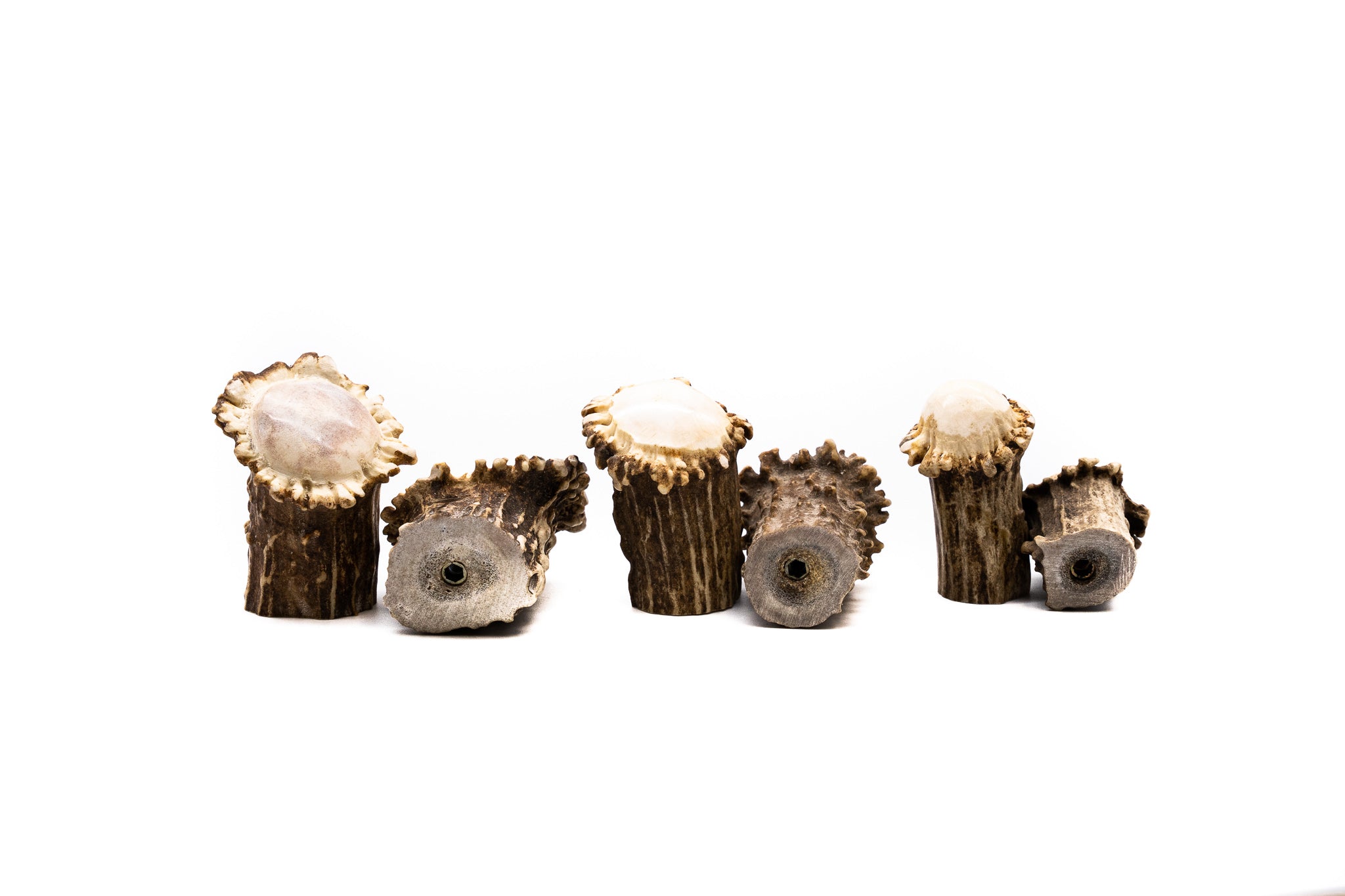 Elk Antler Pen Holder - Crooked Creek Antler Art