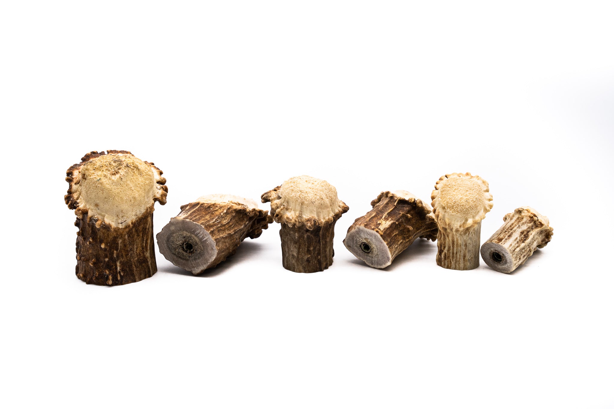 Elk Antler Pen Holder - Crooked Creek Antler Art